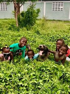 Sustainable Agriculture - Holistic Haitian Alliance